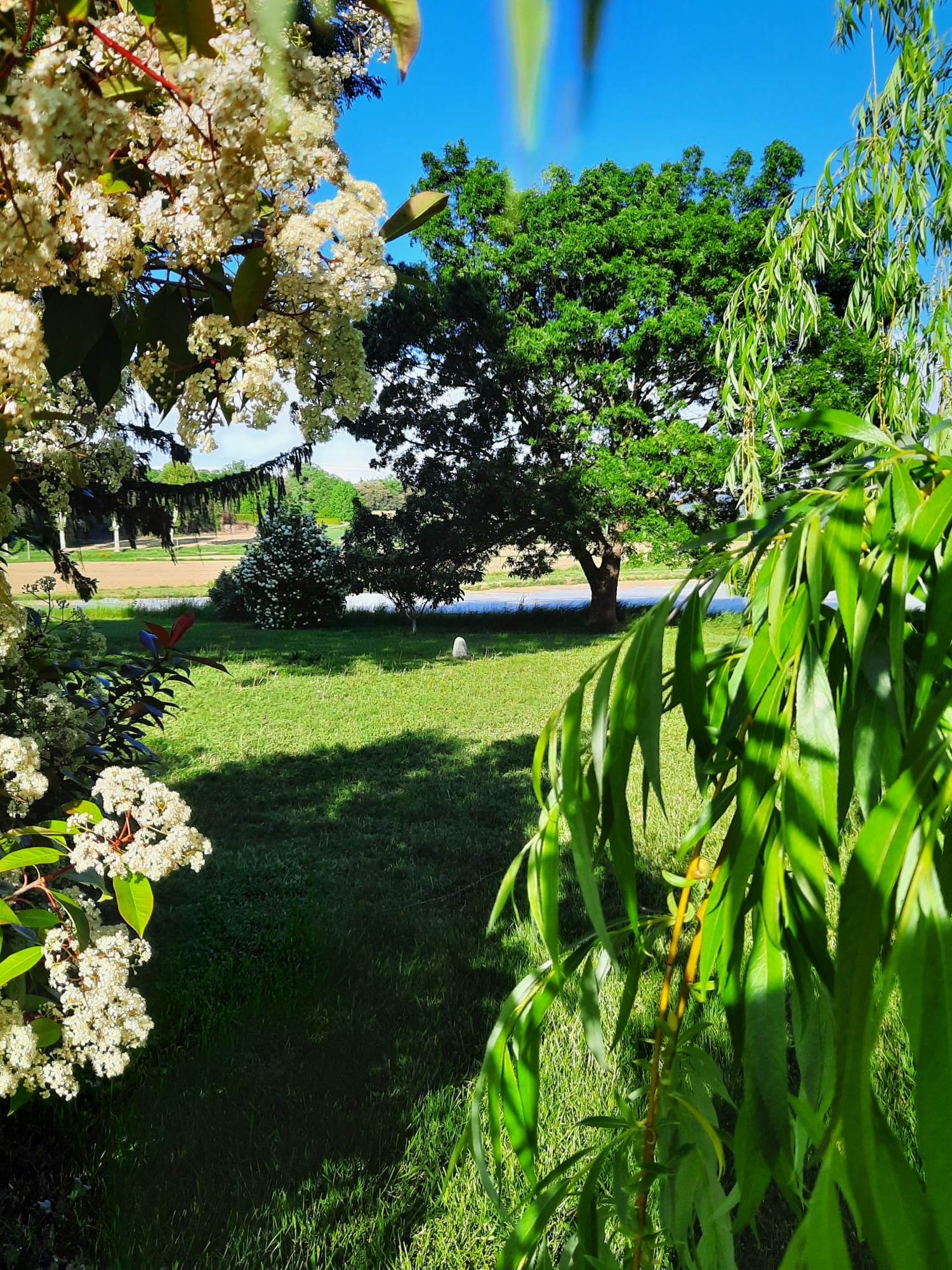 Les stages – conférences et formations à la géobiologie – Audrey ...